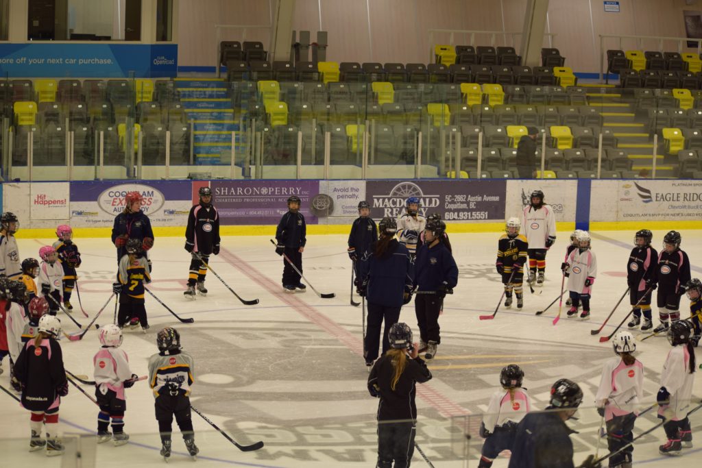 Try Hockey Huge Success! – Tri Cities Female Ice Hockey